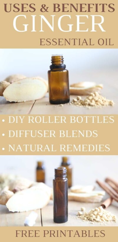 Ginger Essential Oil Highlight | Uses, Benefits, and Recipes - Our Oily ...