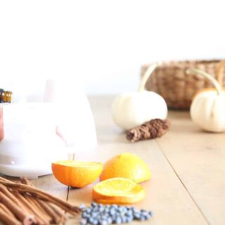 November Diffuser Blends - Our Oily House