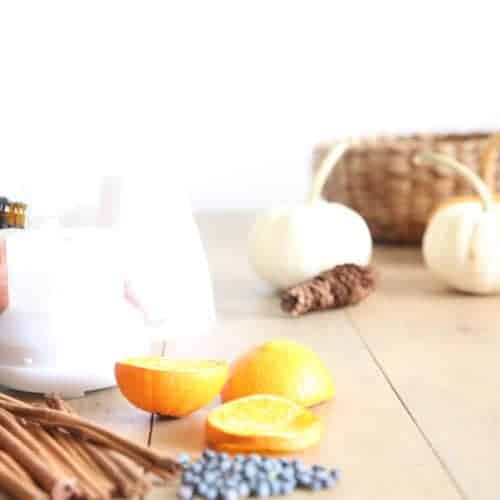 November Diffuser Blends - Our Oily House