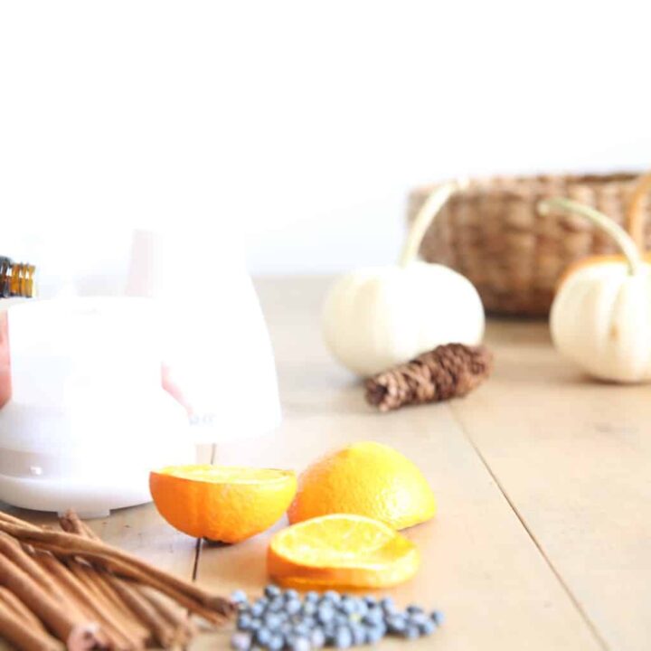 November Diffuser Blends - Our Oily House