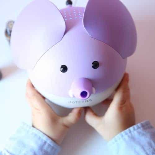 Best Essential Oil Diffuser Blends for Kids - Our Oily House