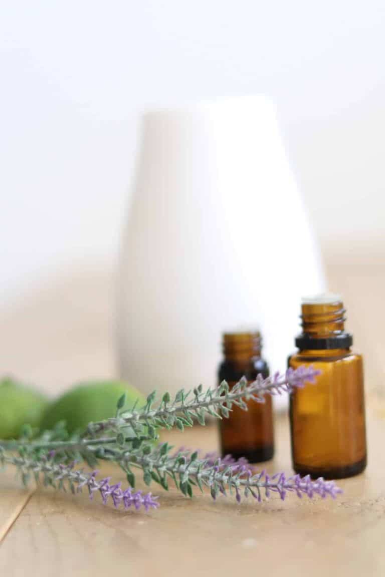 5 Essential Oil Diffuser Blends for Mood Support - Our Oily House