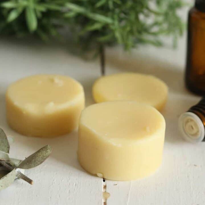 DIY Bug Repellent Lotion Bars - Our Oily House