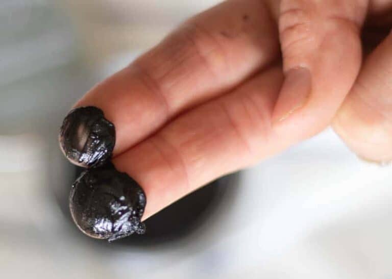 How to Make Drawing Salve - Our Oily House