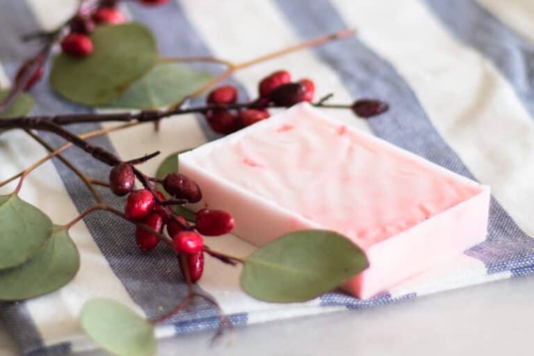 5 Christmas Soap Recipes | Melt and Pour - Our Oily House