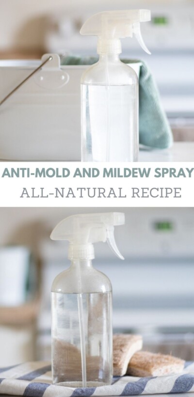 DIY Anti-Mold Spray - Our Oily House