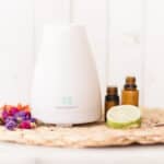 Tropical Diffuser Blends - Our Oily House