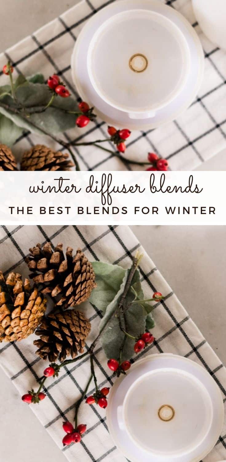 Winter Diffuser Blends - Our Oily House