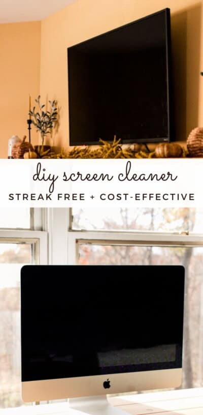 DIY Screen & Device Cleaner - Our Oily House