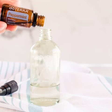 Essential Oils to Get Rid of Mice - Our Oily House