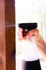 Homemade Wasp Spray - Our Oily House