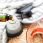 DIY Spider Repellent - Our Oily House