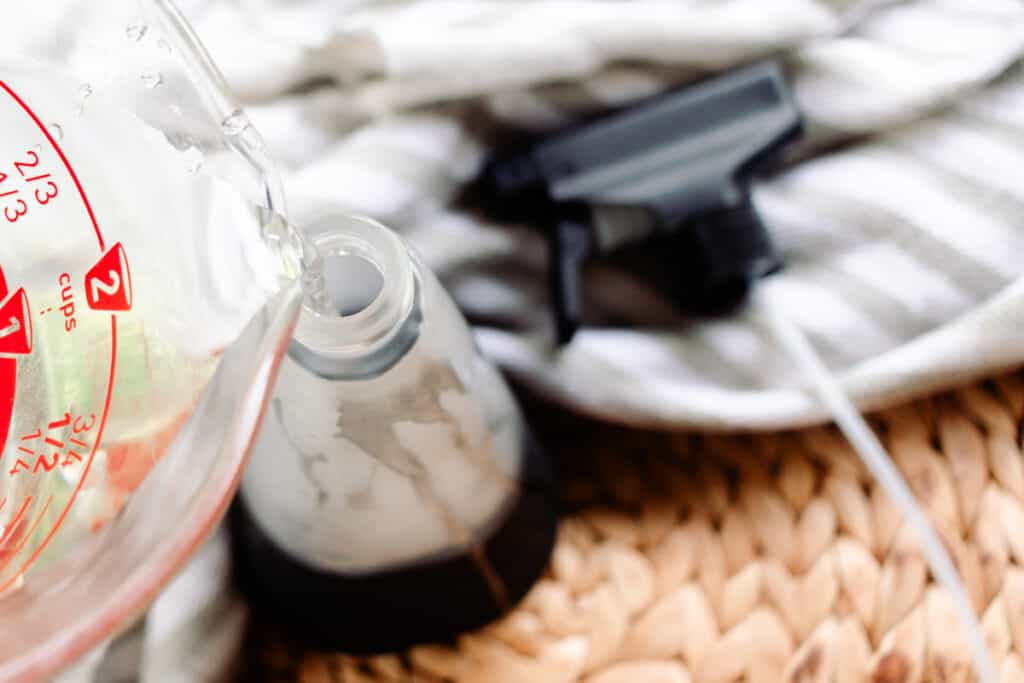 DIY Spider Repellent - Our Oily House