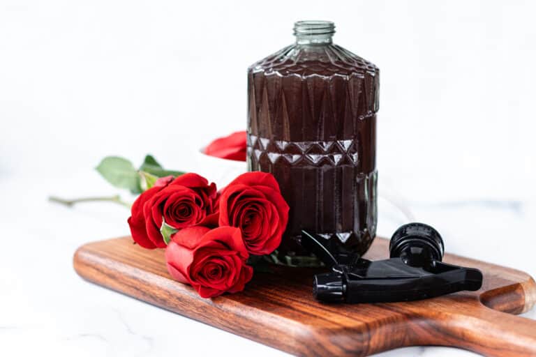Top 12 Natural Hair Care Recipes - Our Oily House
