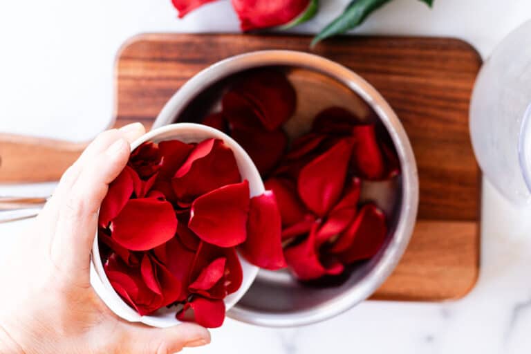 How to Make A Rose Water Spray for Hair and Skin - Our Oily House