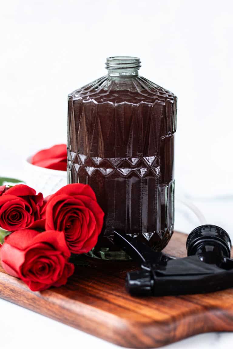 How to Make A Rose Water Spray for Hair and Skin - Our Oily House