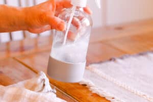 How to Make a Fly Spray for Your Home That Really Works!