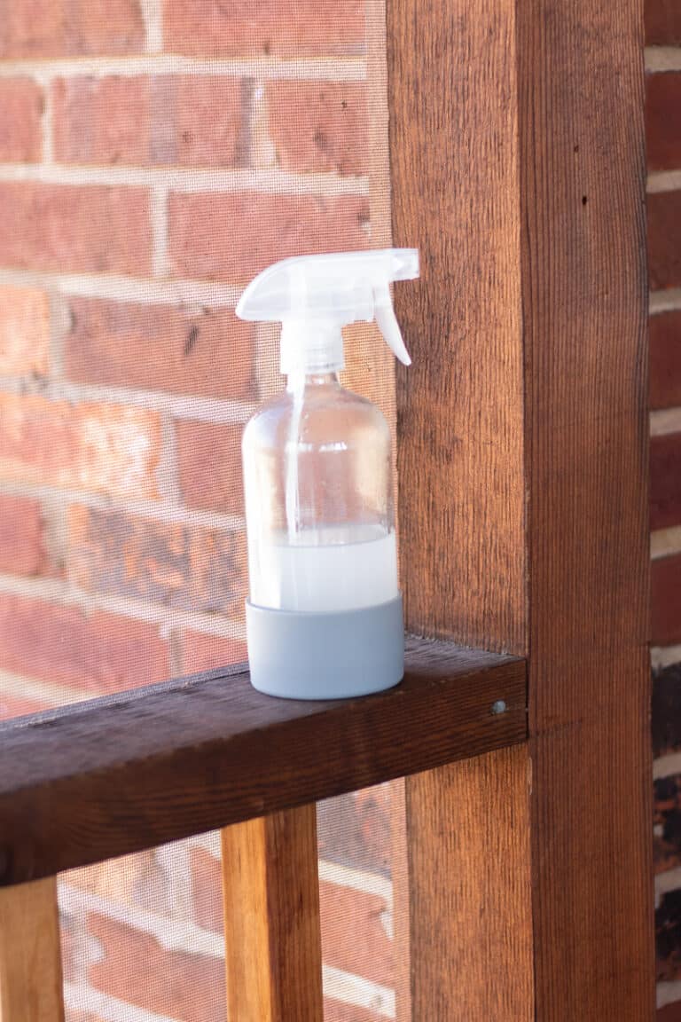 How to Make a Fly Spray for Your Home That Really Works!