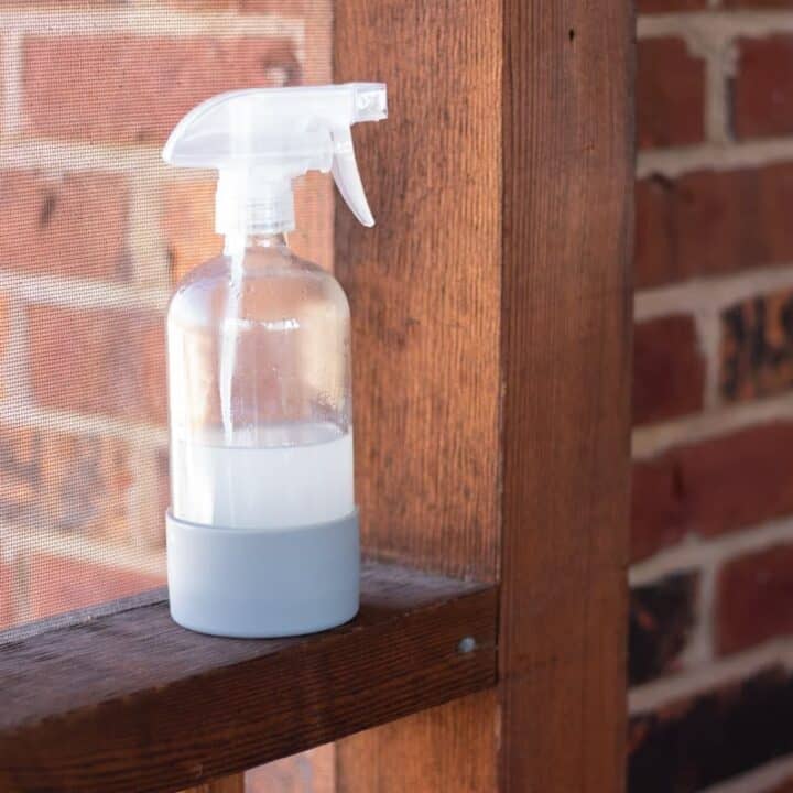 How to Make a Fly Spray for Your Home That Really Works!