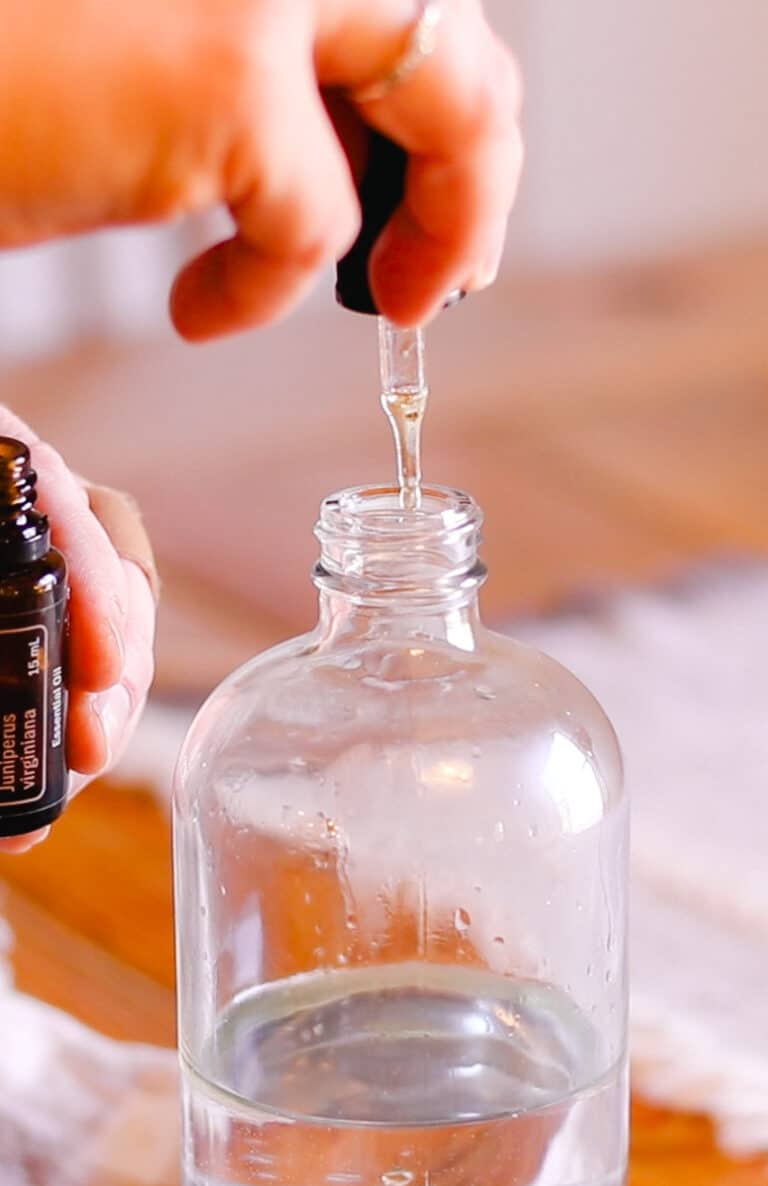 How to Make a Fly Spray for Your Home That Really Works!