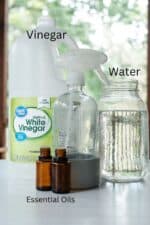 Homemade Window Cleaner - Our Oily House