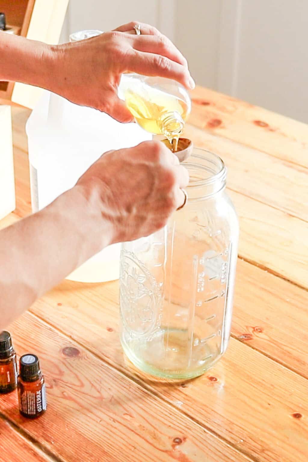 Homemade Bug Spray for Plants - Our Oily House