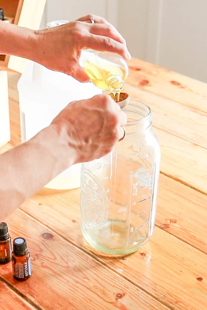 Homemade Bug Spray for Plants - Our Oily House