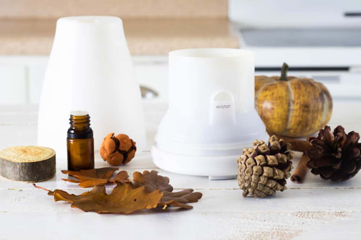 Fall Diffuser Blends - Our Oily House