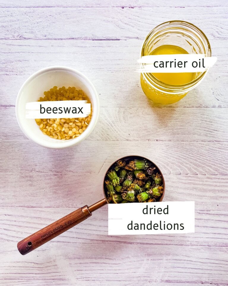 Dandelion Salve Recipe - Our Oily House