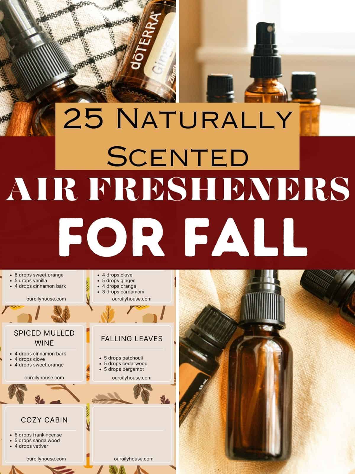 25 DIY Fall Air Fresheners - Our Oily House